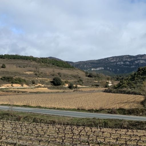 LÆS OM røde og hvide vine fra Rioja Alavesa | AcourA Vin